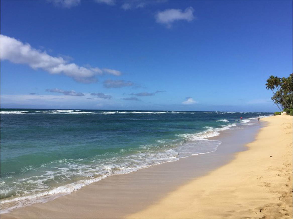 213 Kaalawai Place, Honolulu, HI – Nicholson Companies